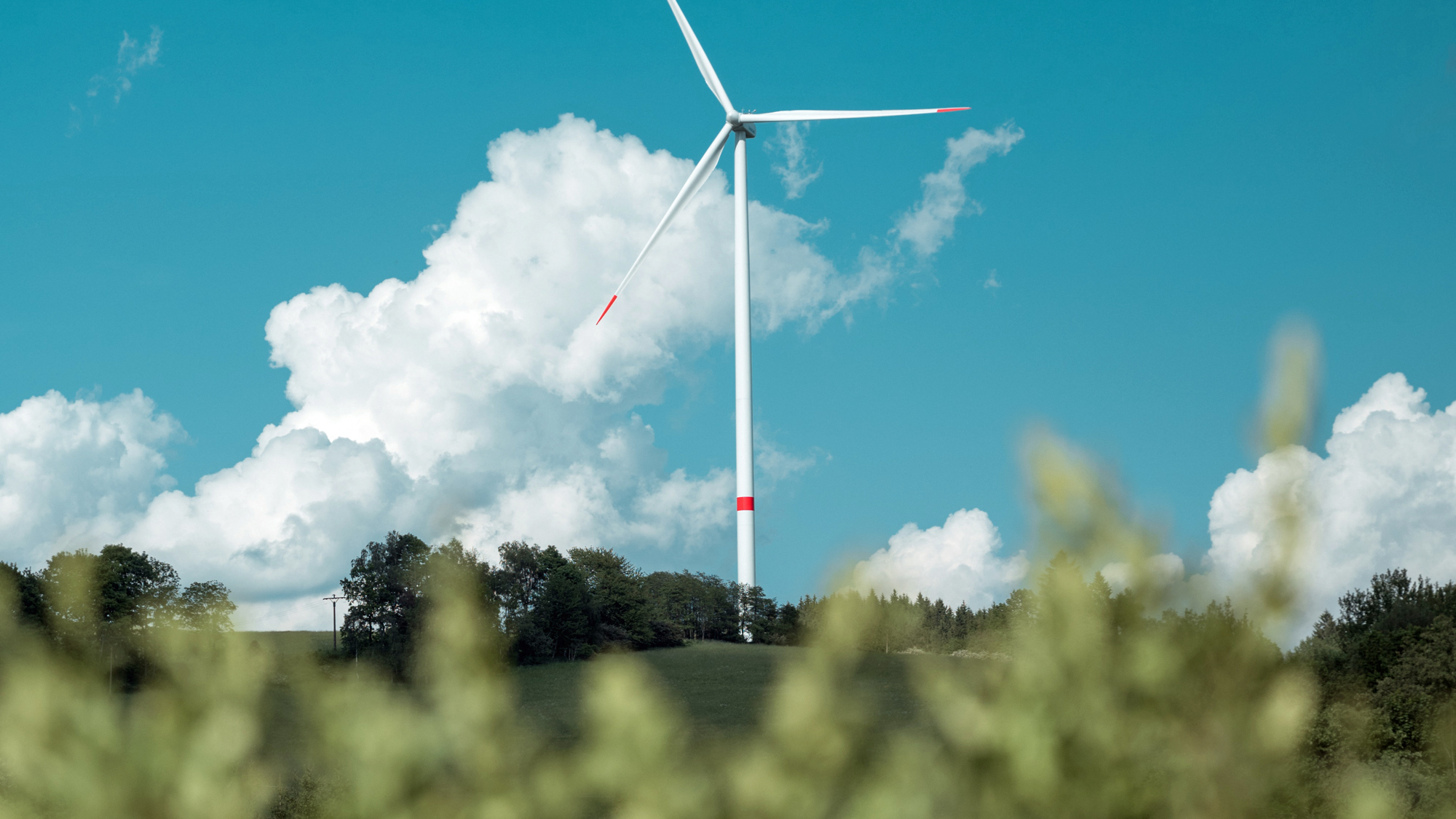 Erneuerbare-Energien-Gesetz EEG (Online-Seminar)